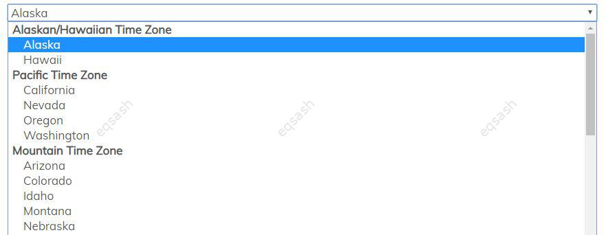 How To Show Long Text In Select And Option Without Abbreviations 